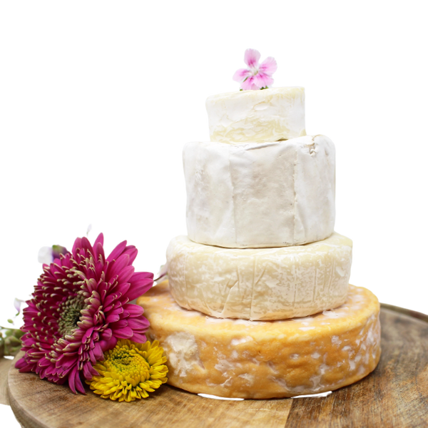 Brie Cake Set, 4 pc | Cured and Cultivated